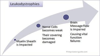 Leukodystrophies | PPT