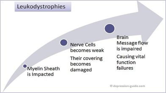 Leukodystrophies | PPT