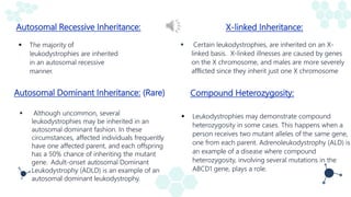Leukodystrophy powerpoint project genetics | PPTX
