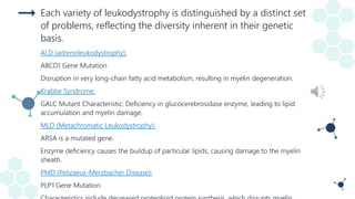 Leukodystrophy powerpoint project genetics | PPTX
