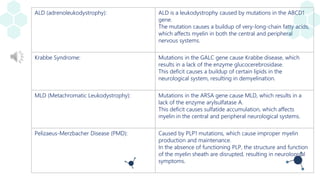 Leukodystrophy powerpoint project genetics | PPTX