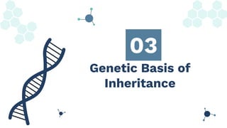 Leukodystrophy powerpoint project genetics | PPTX