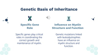 Leukodystrophy powerpoint project genetics | PPTX