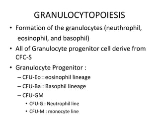 Leukopiesis and agranulositosis 2011 | PPT