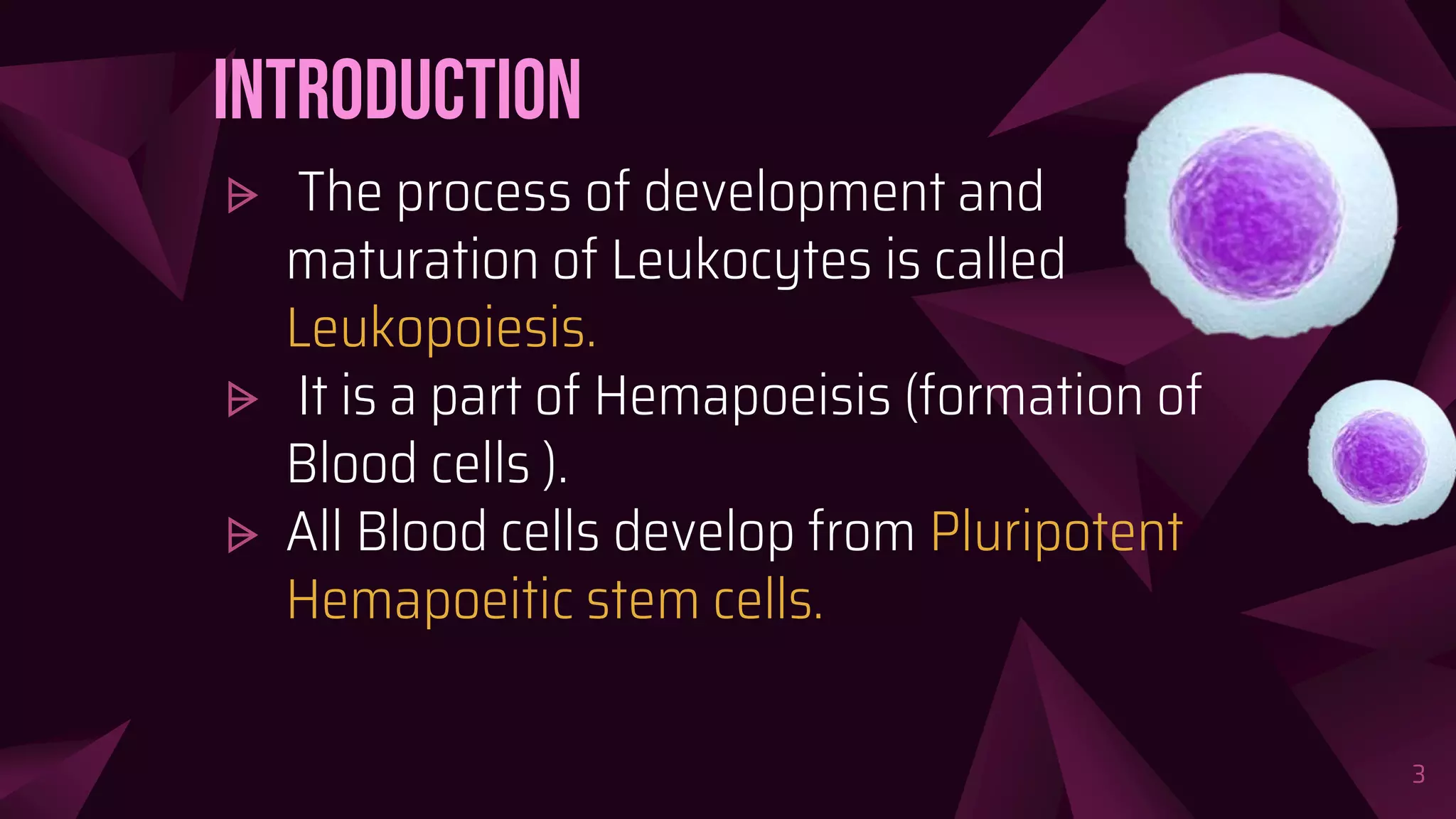 Leukopoiesis Pptx