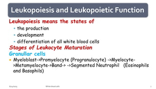 Leukopoiesis and Leukopoietic Function.ppt
