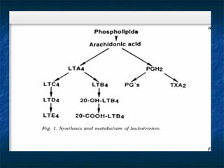Leukotrienes | PPT