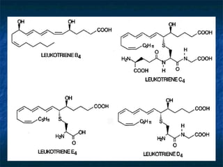 Leukotrienes | PPT
