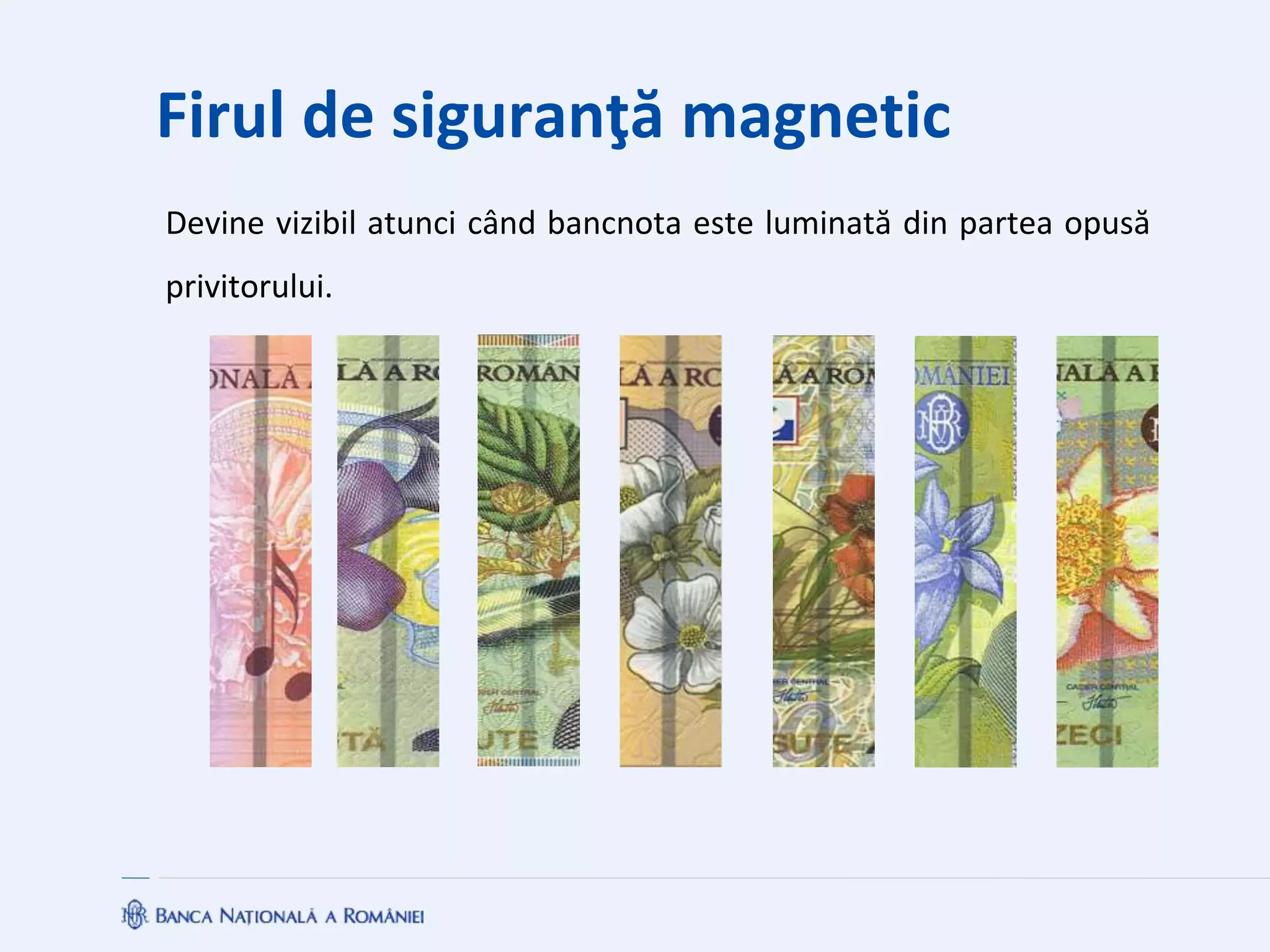 Leul. Elemente de siguranta | PPTX