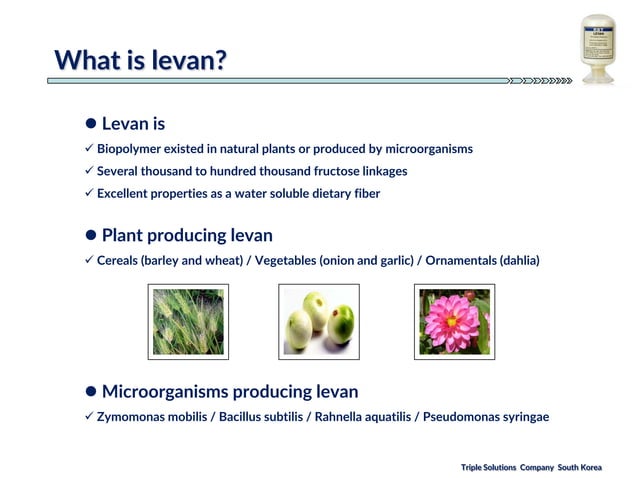 Levan microbial polysaccharide | PDF