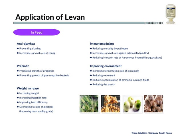 Levan microbial polysaccharide | PDF