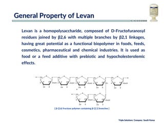 Levan Structure