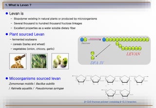 Levan moist eng ts | PPT