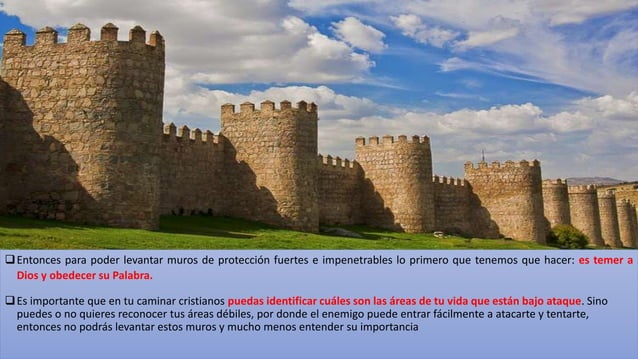 Levantando Muros de Protección.pptx
