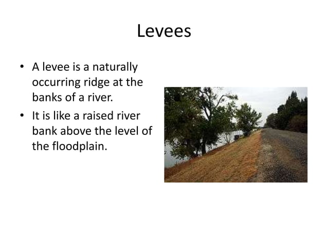 Levees | PPT