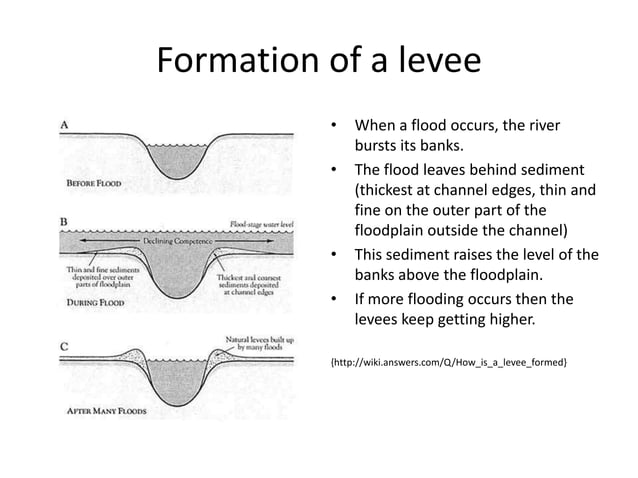 Levees | PPT