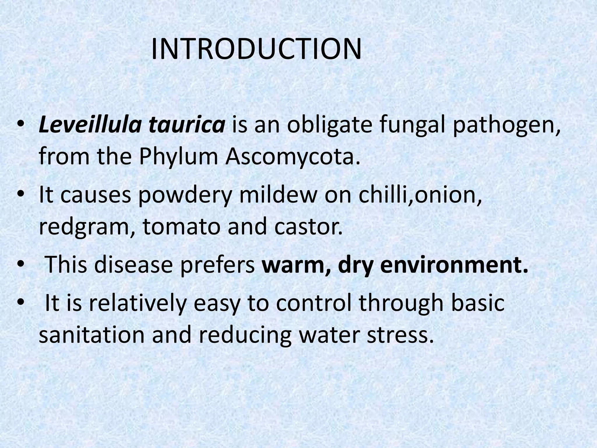 Leveillula taurica | PPTX