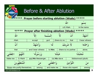 Level 2-class-4.ppt [compatibility mode] | PDF