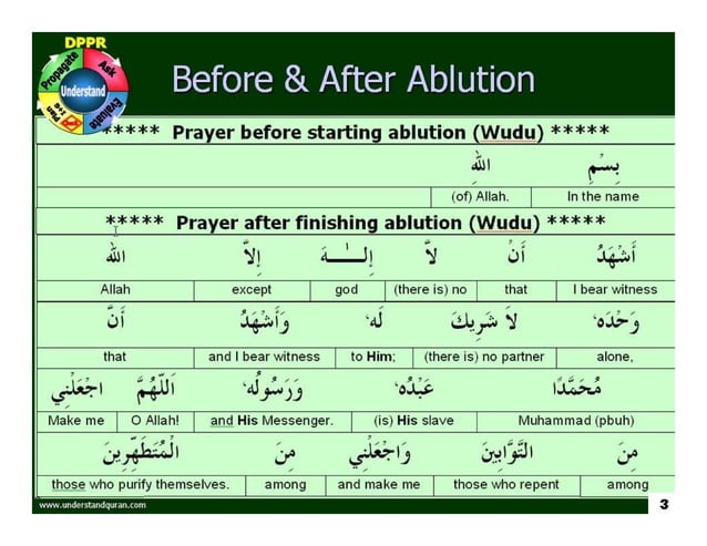 Level 2-class-4.ppt [compatibility mode] | PDF