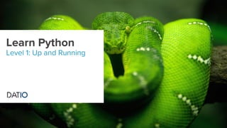 Learn Python | PDF