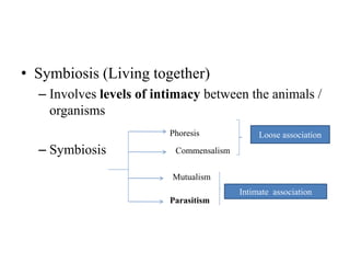 Level 200 Parasitology parasites lecture.pptx