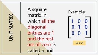 Level 2 matrices and it's types for grade 11 | PPTX