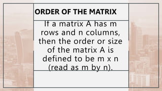 Level 2 matrices and it's types for grade 11 | PPTX
