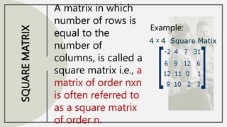Level 2 matrices and it's types for grade 11 | PPTX