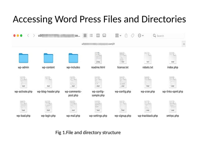 LEVEL 3 accessing file and directory.pptx