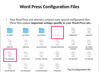 LEVEL 3 accessing file and directory.pptx