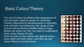 Level 3 colour theory | PPTX
