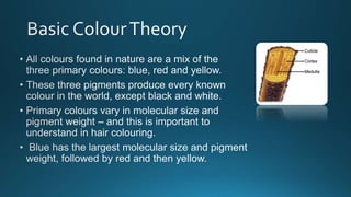Level 3 colour theory | PPTX