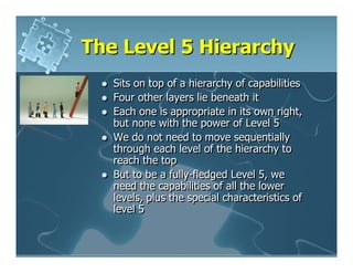 Level5-leadership-sabhlok | PDF