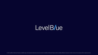 LevelBlue_PowerPoint_Brand_template.potx