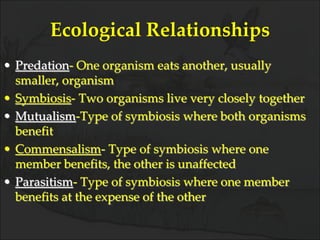 Level_Ecology.ppt