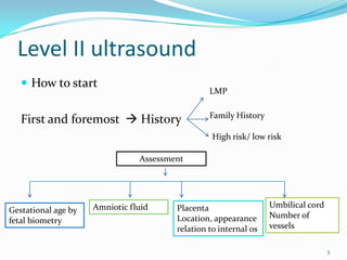 Level II usg | PPTX