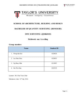 Levelling report | DOCX