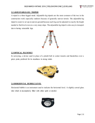 Levelling report | DOCX