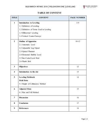 Levelling report | DOCX