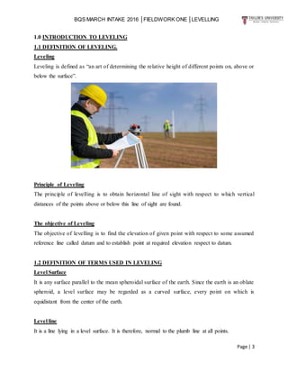 Levelling report | DOCX