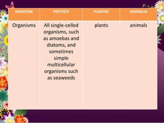 Level of classification | PPTX