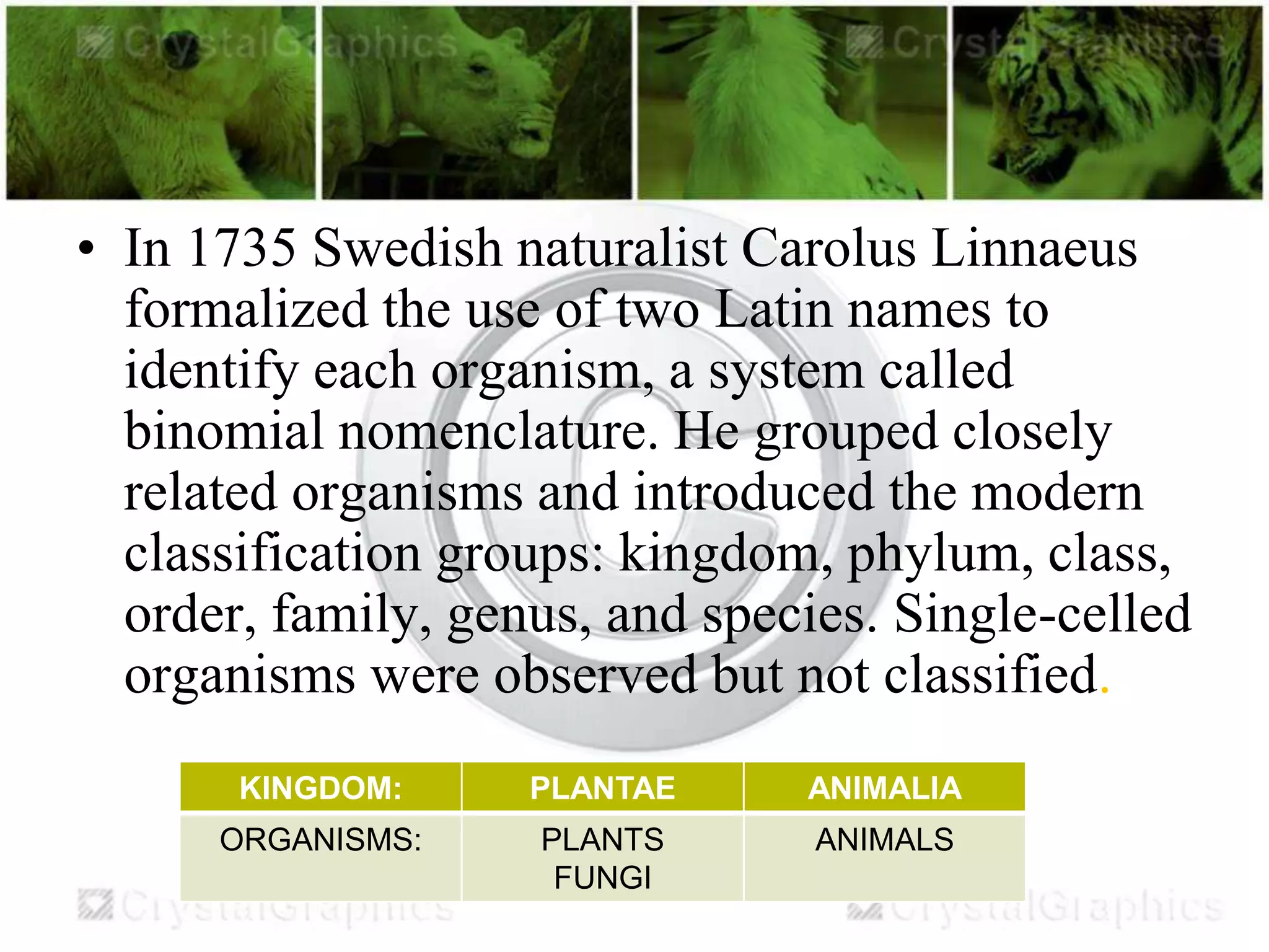 Level of classification | PPTX | Biological Sciences | Science