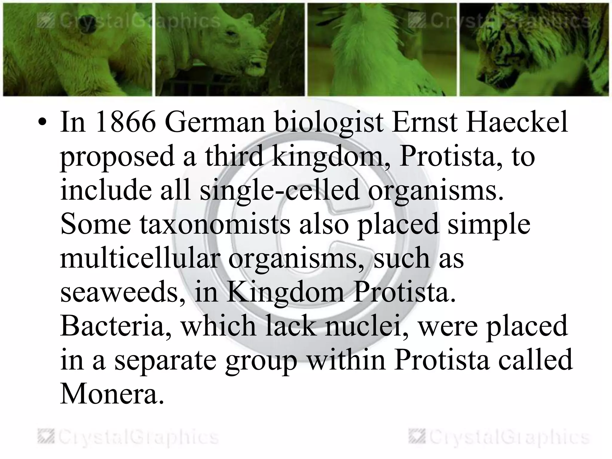 Level of classification | PPTX | Biological Sciences | Science