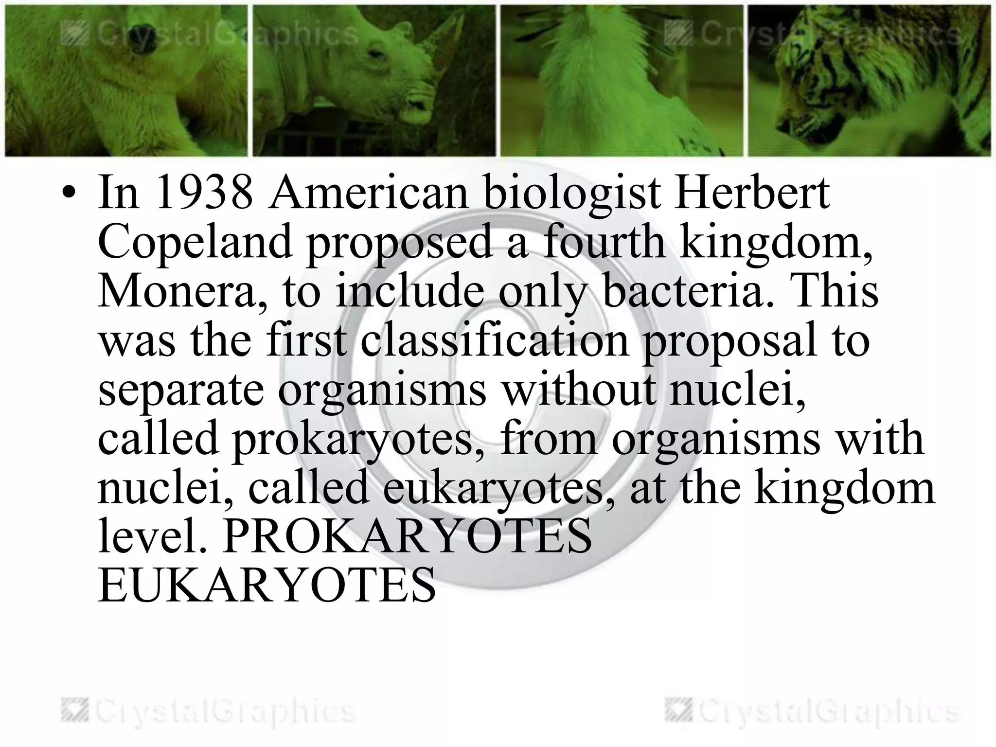 Level of classification | PPTX | Biological Sciences | Science