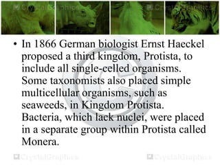 Level of classification | PPTX | Biological Sciences | Science