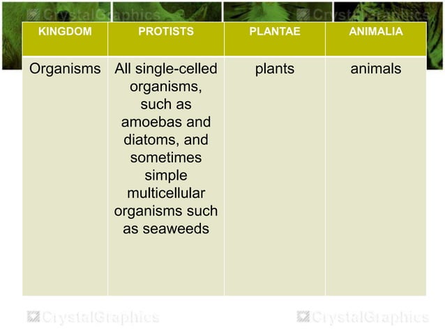 Level of classification | PPTX | Biological Sciences | Science