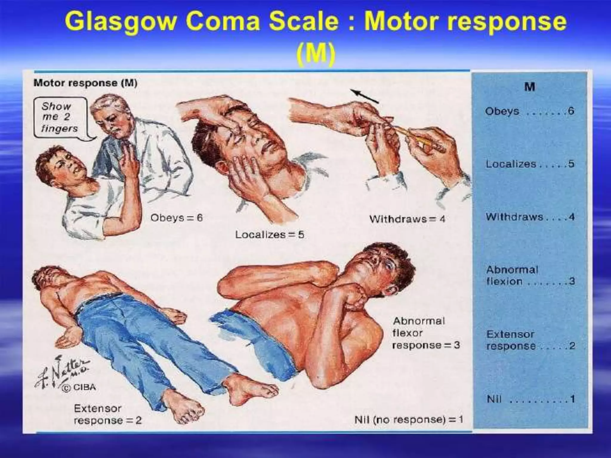 Level of consciousness (GCS) | PPTX