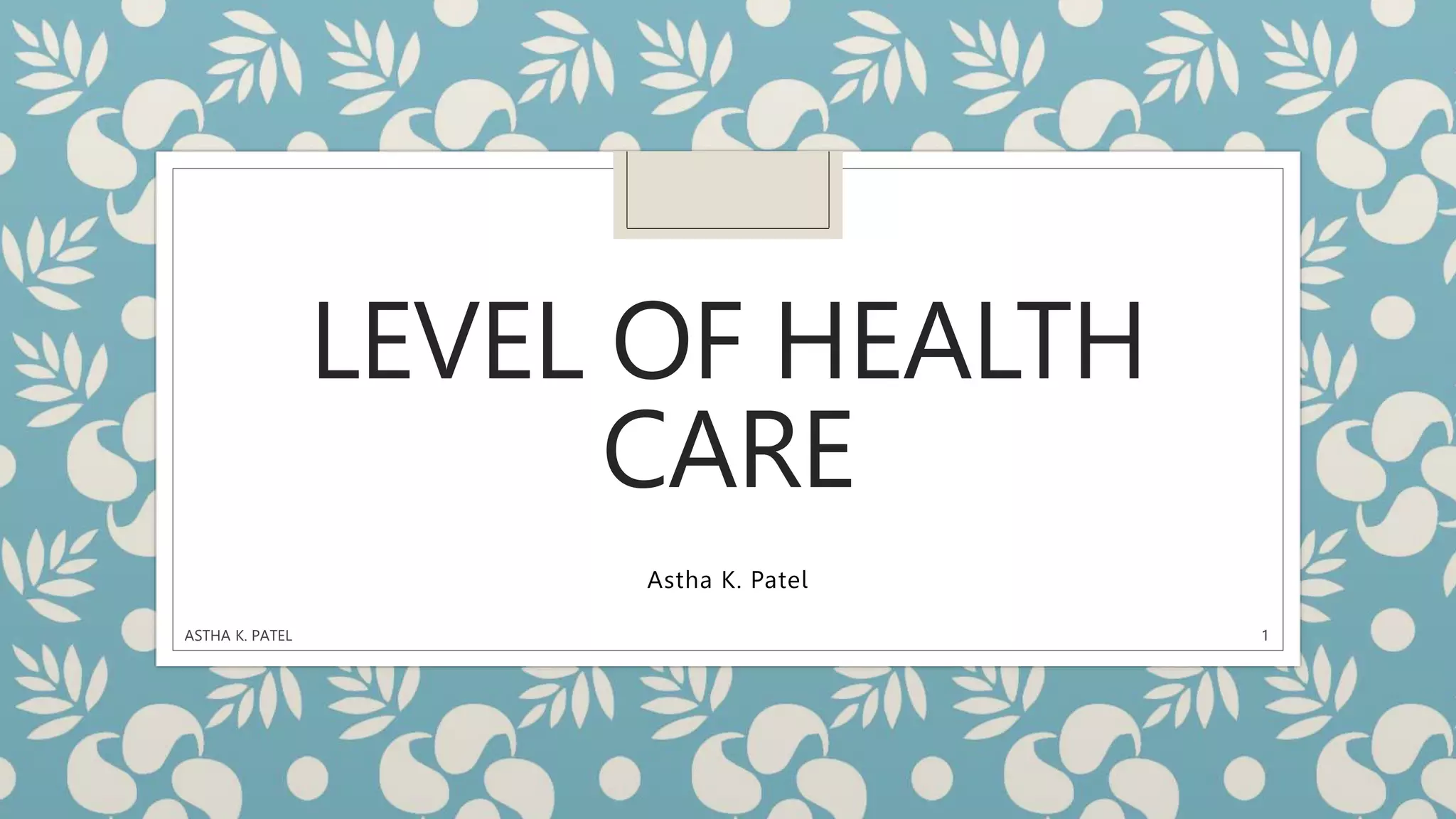 Level of Health care.pptx