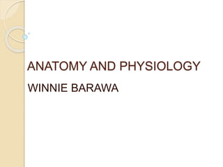 Control of breathing | PPT