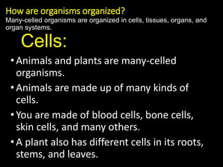level of organization (science biology) .ppt